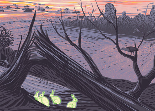 Oryx & Crake – Black Dragon Press